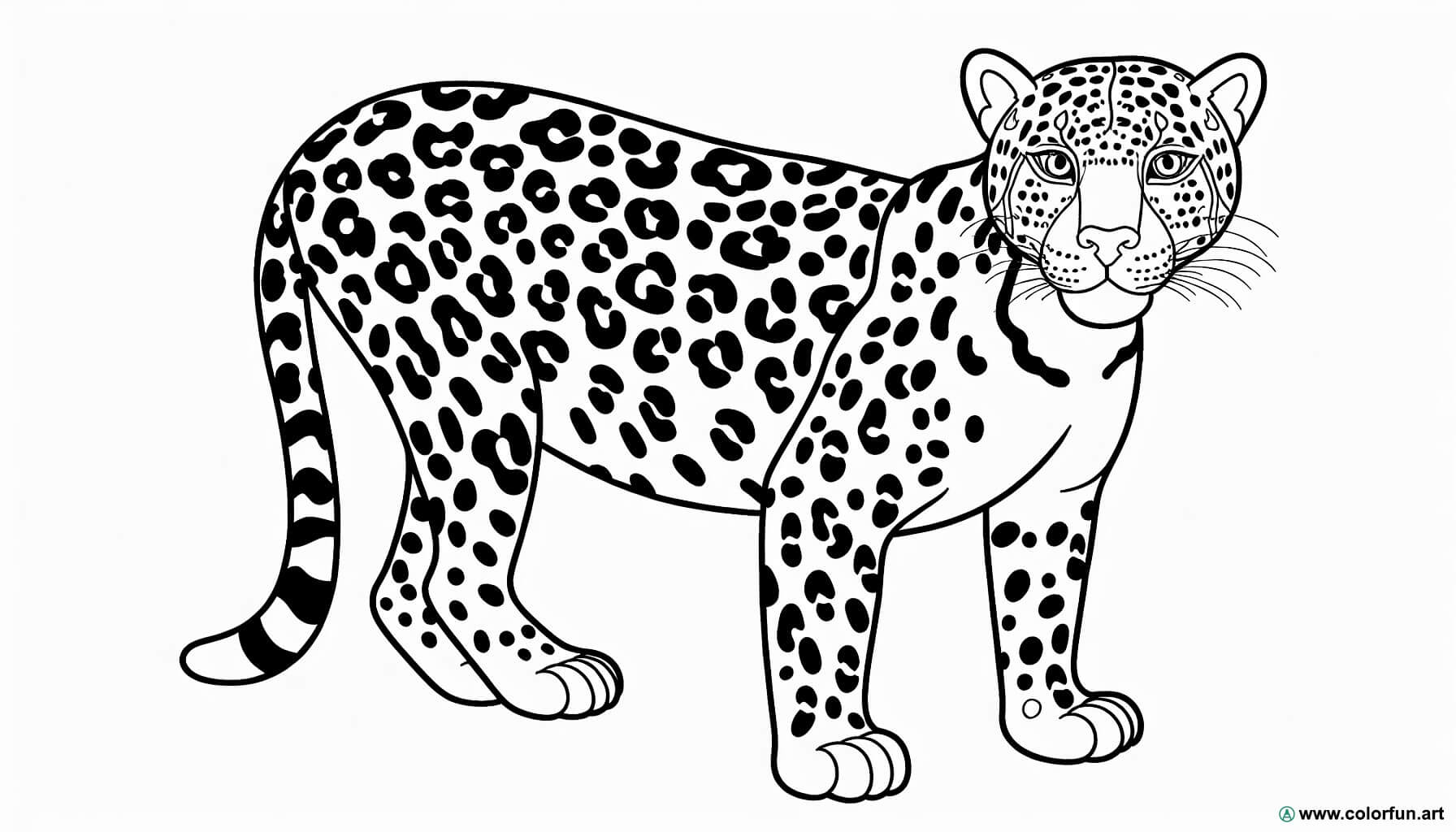 Coloring page of a wild leopard Download or Print for free