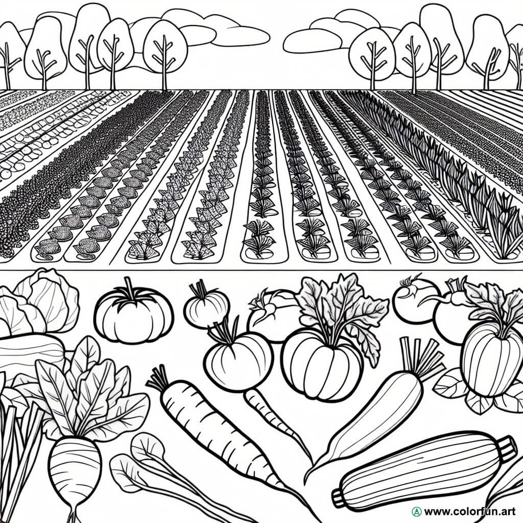 Coloring page of vegetables for the garden Download or Print for free